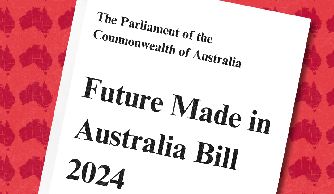 Future Made in Australia policy needed and should pass without delay